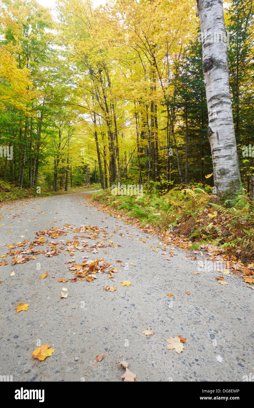 Jefferson Notch Road in the Low and Burbank's Grant, New Hampshire USA ...