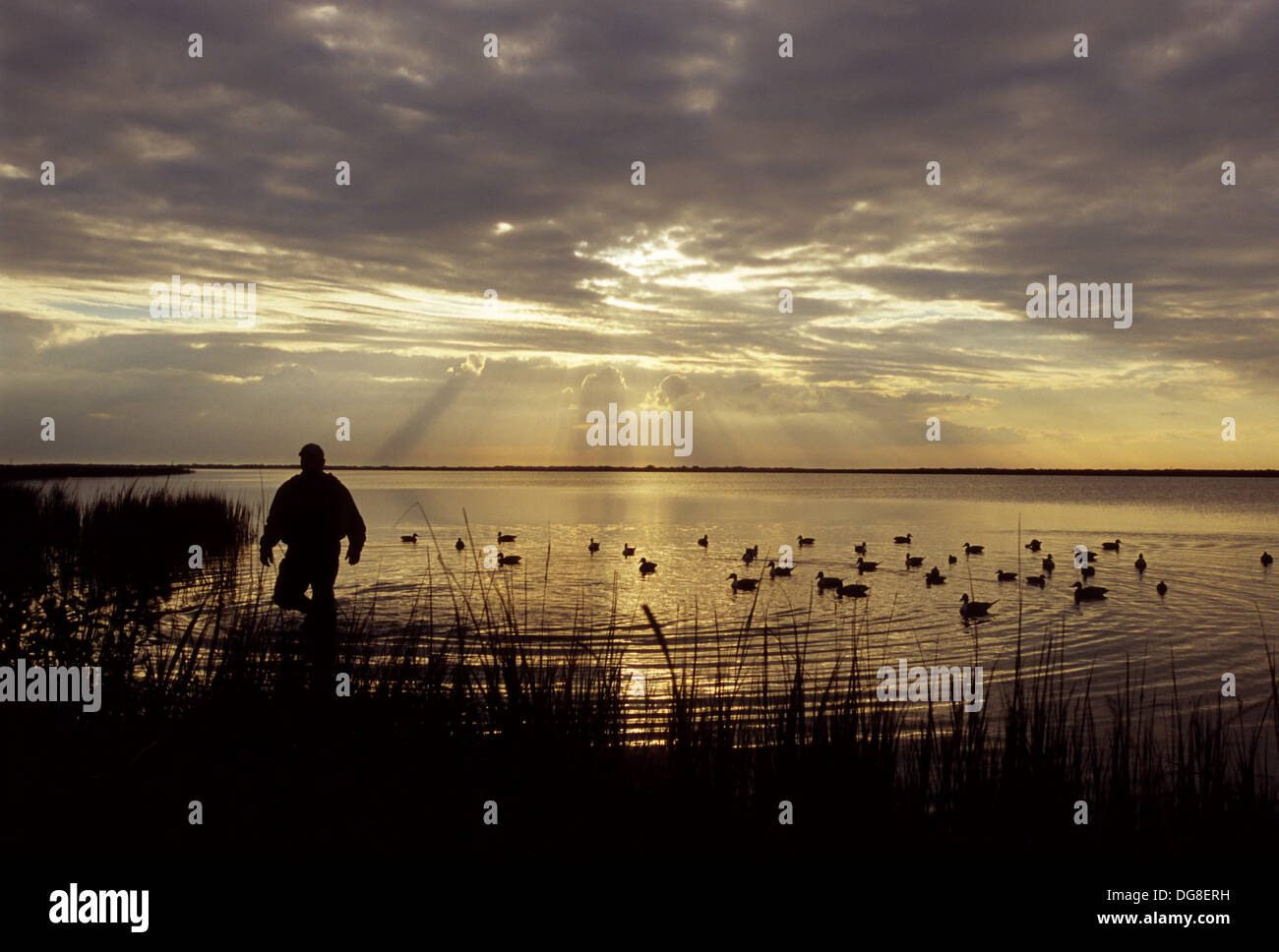 Duck Hunting Sunrise Pictures