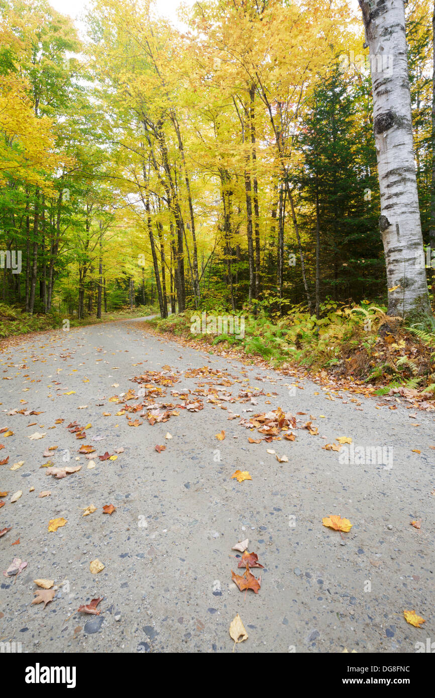 Jefferson Notch Road in the Low and Burbank's Grant, New Hampshire USA ...