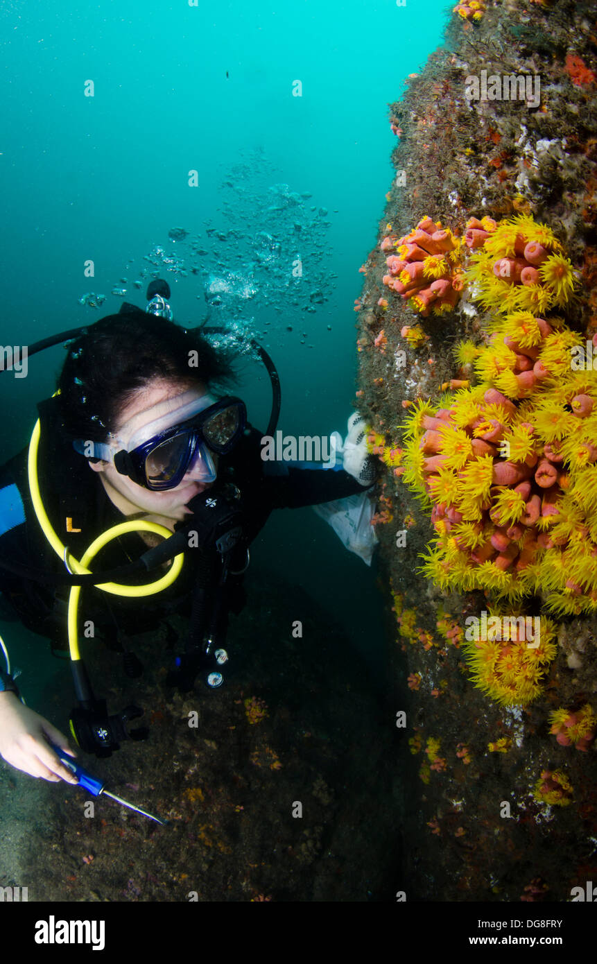 Alien sun hi-res stock photography and images - Alamy