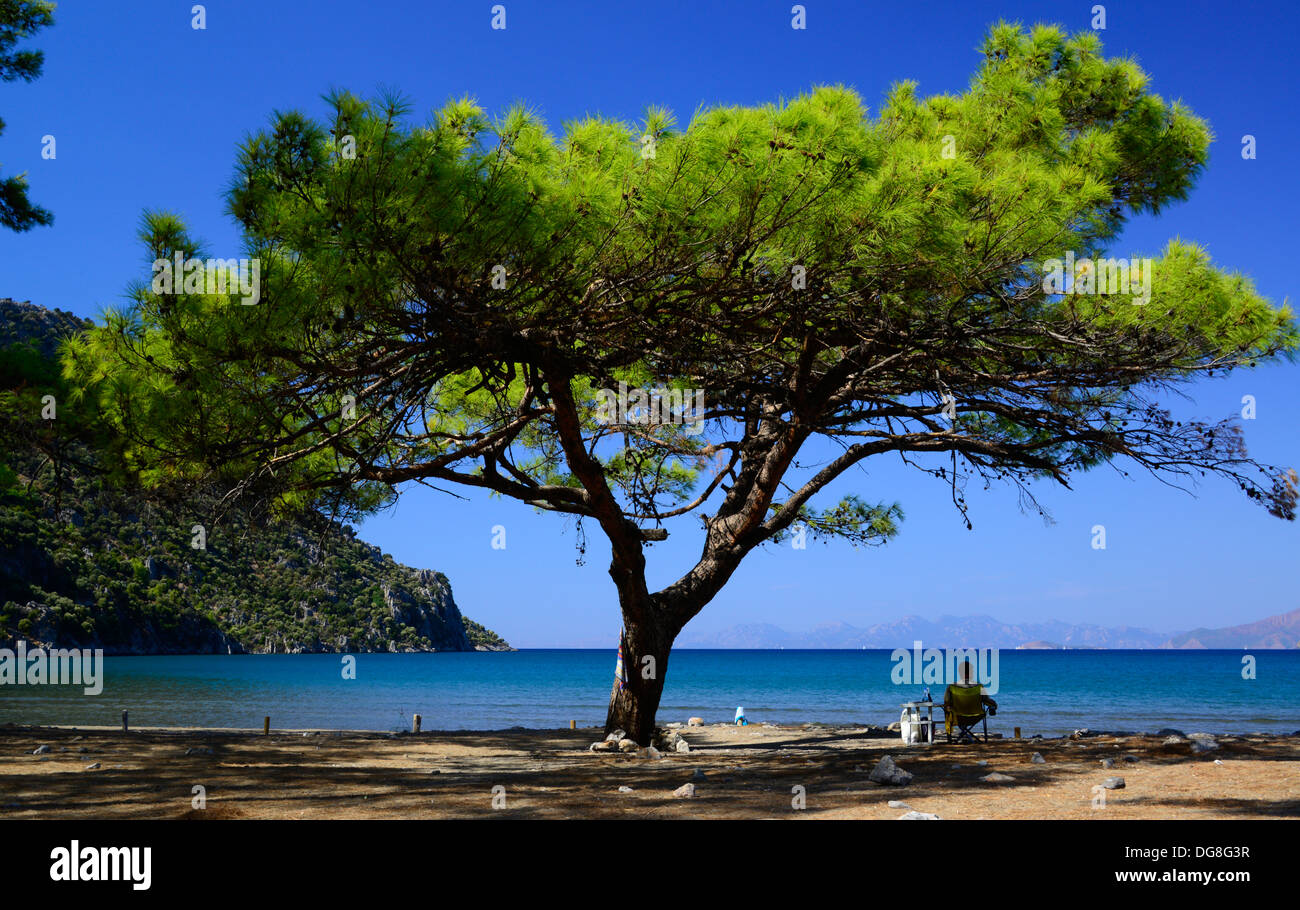 İztuzu Beach, Dalyan, Turkey Stock Photo - Alamy