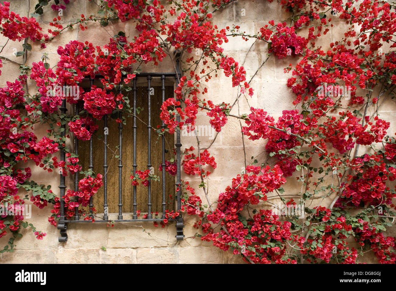 Window of picasso museum hi-res stock photography and images - Alamy