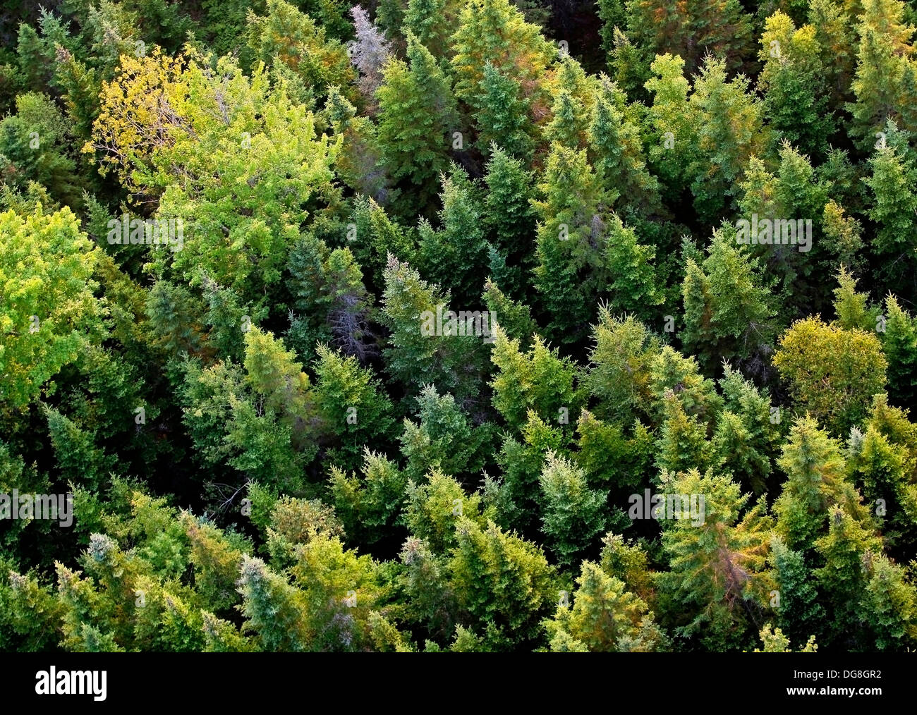High contrast aerial abstract hi-res stock photography and images - Alamy