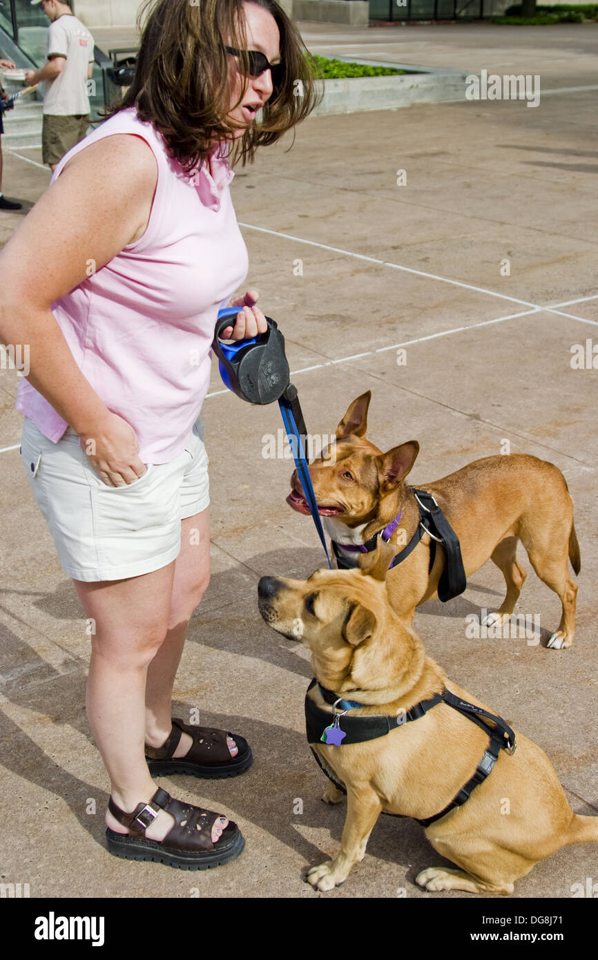 Woman giving commands to her two dogs Stock Photo - Alamy