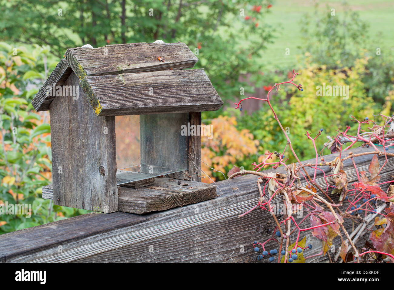 old weathered wood bird feeder with fall foliage in background Stock ...