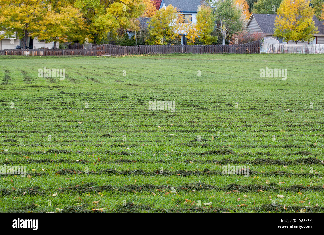 grass field mowed with residential houses fall foliage in background ...