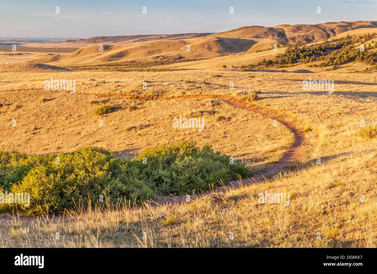 sunrise illuminates a trail through rolling prairie at foothills of ...