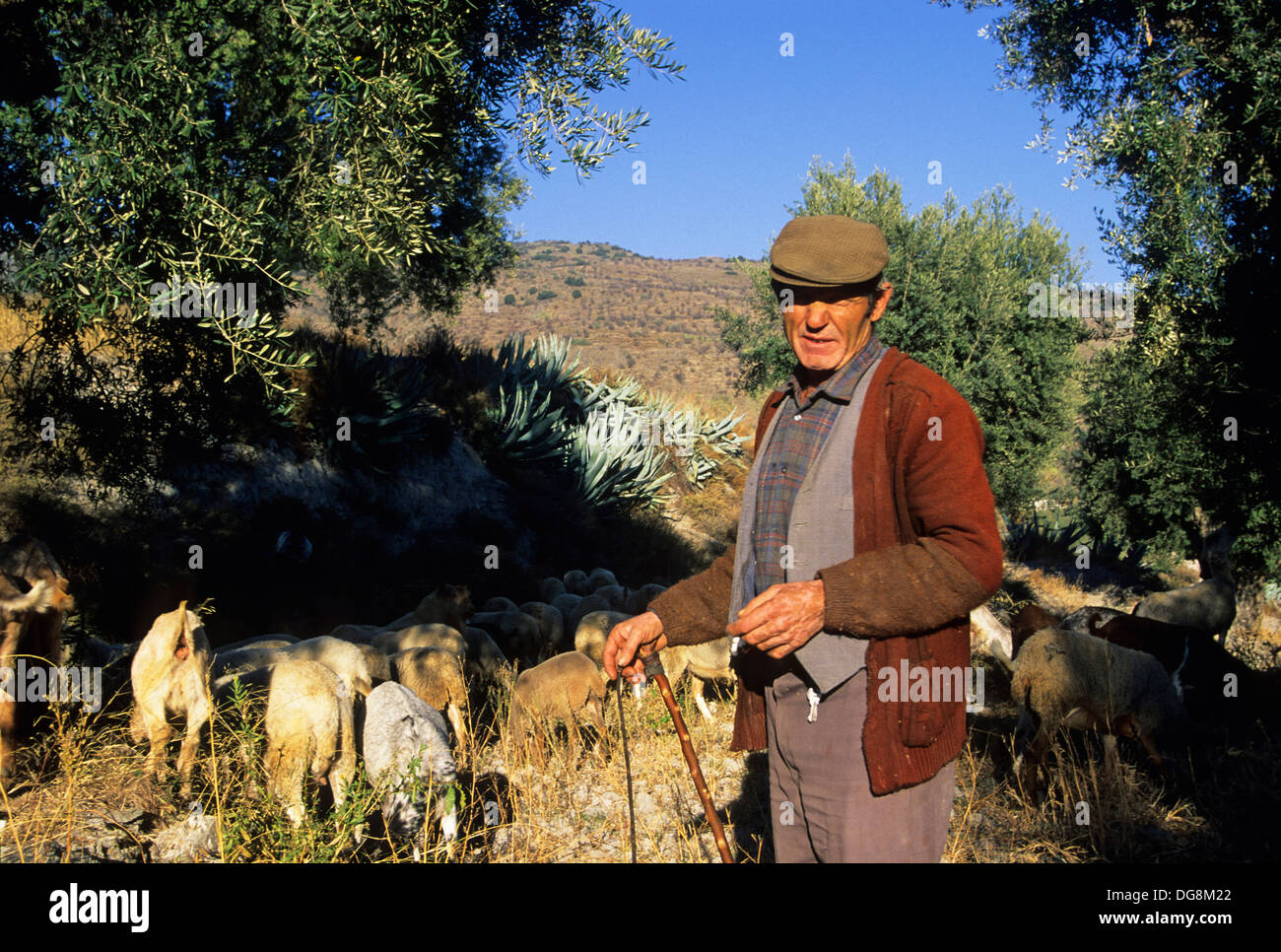 Shepherd man hi-res stock photography and images - Alamy