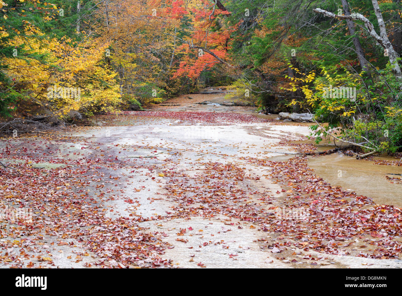 Ledge Brook in the White Mountains, New Hampshire USA during the autumn ...
