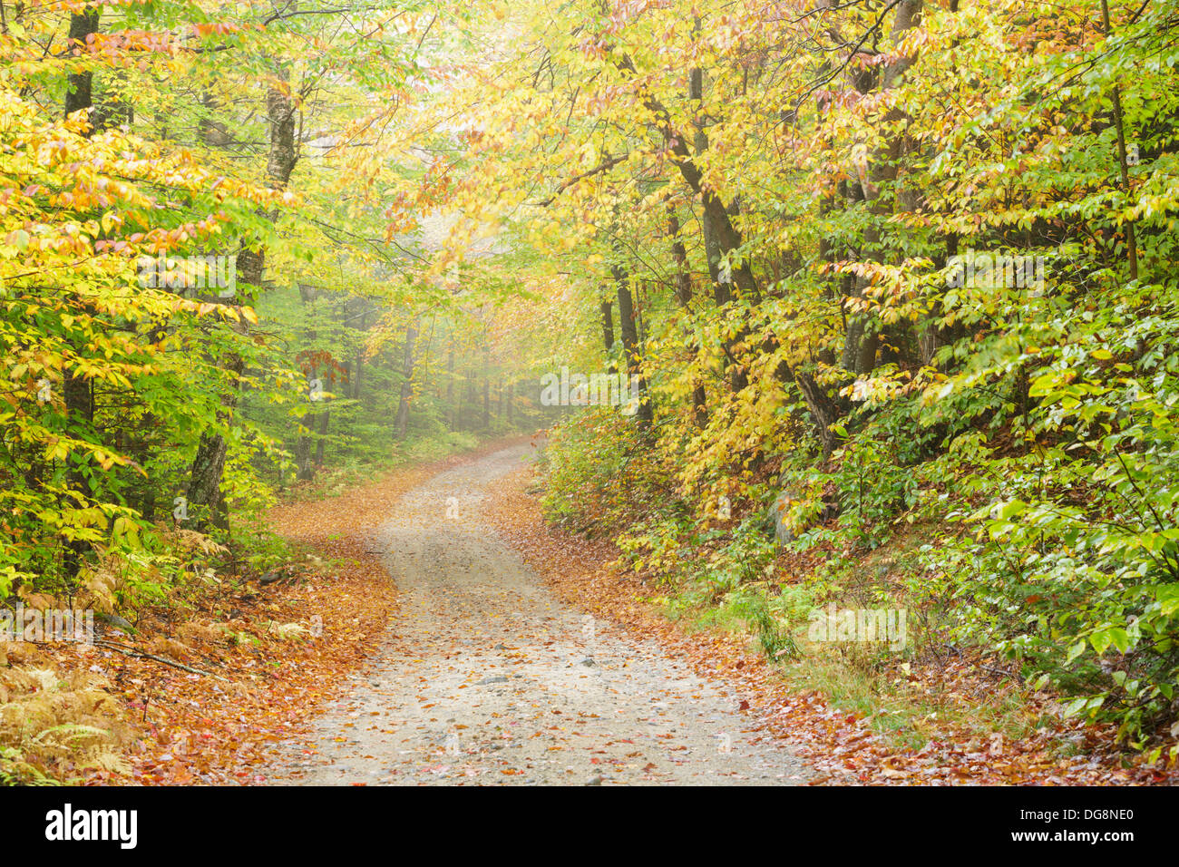Sandwich Notch Road in Sandwich, New Hampshire USA during the autumn ...