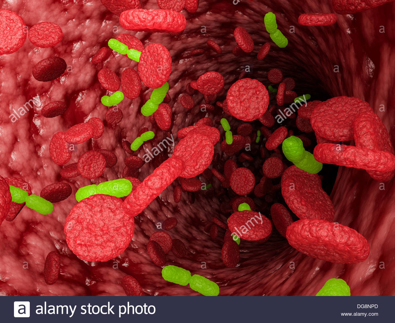 Bloodstream Stock Photos & Bloodstream Stock Images - Alamy
