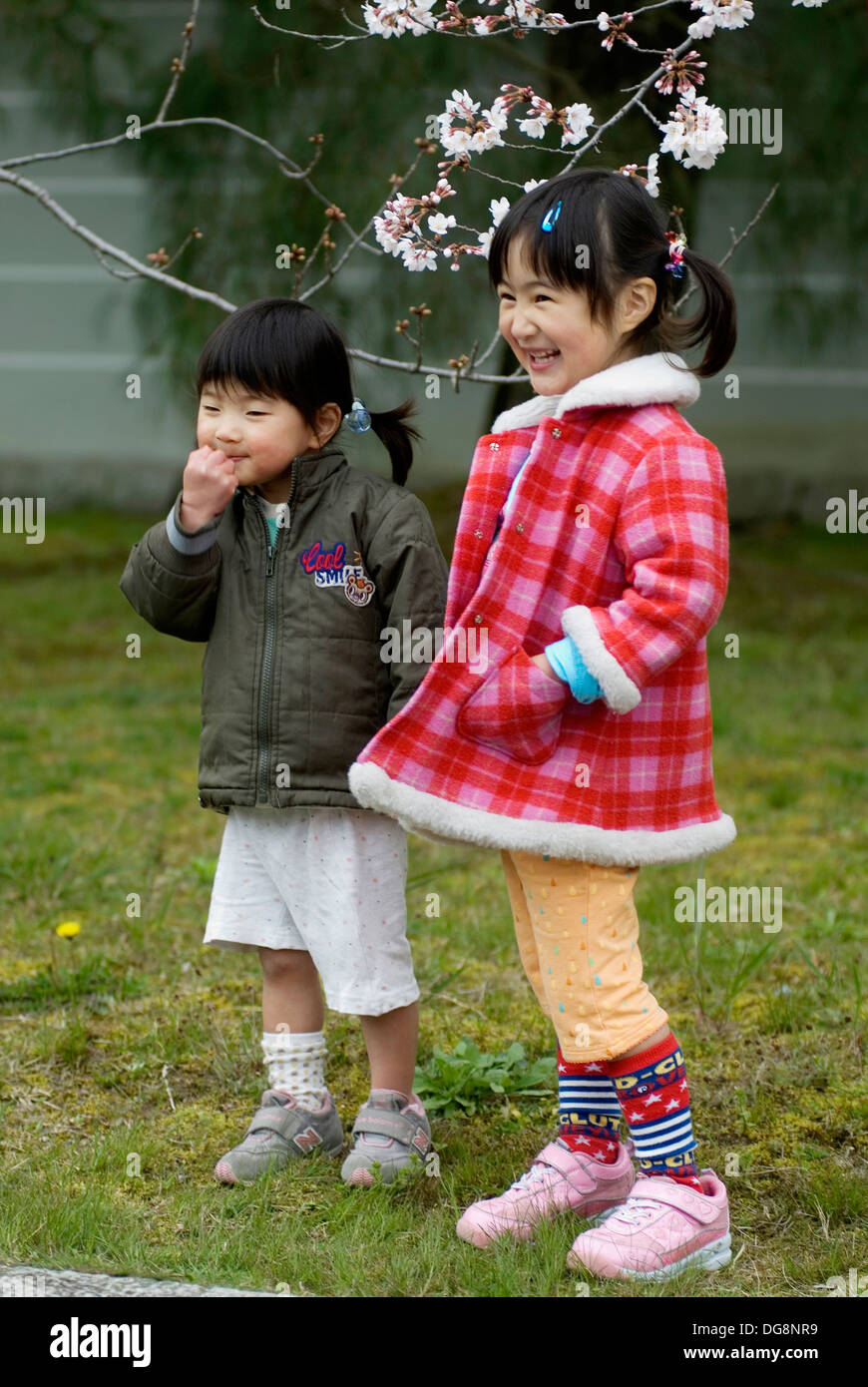Japan Family Children Cherry Blossom High Resolution Stock Photography ...