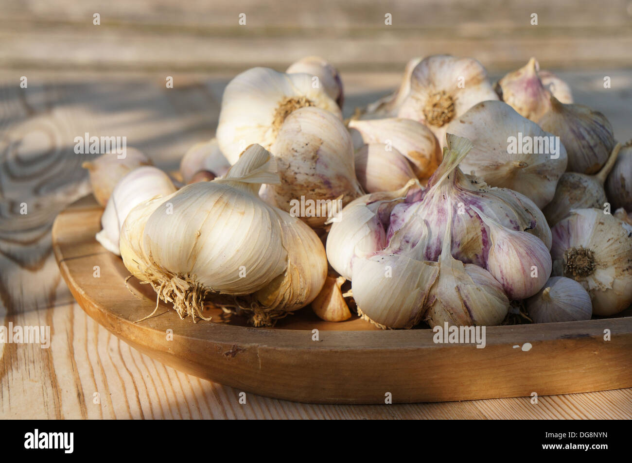 Harvest spice hi-res stock photography and images - Alamy