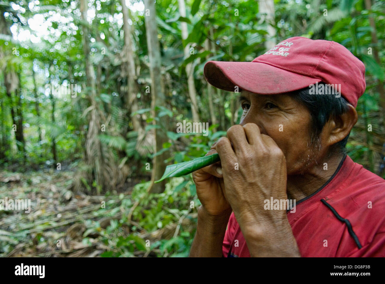 Leaf whistle High Resolution Stock Photography and Images - Alamy