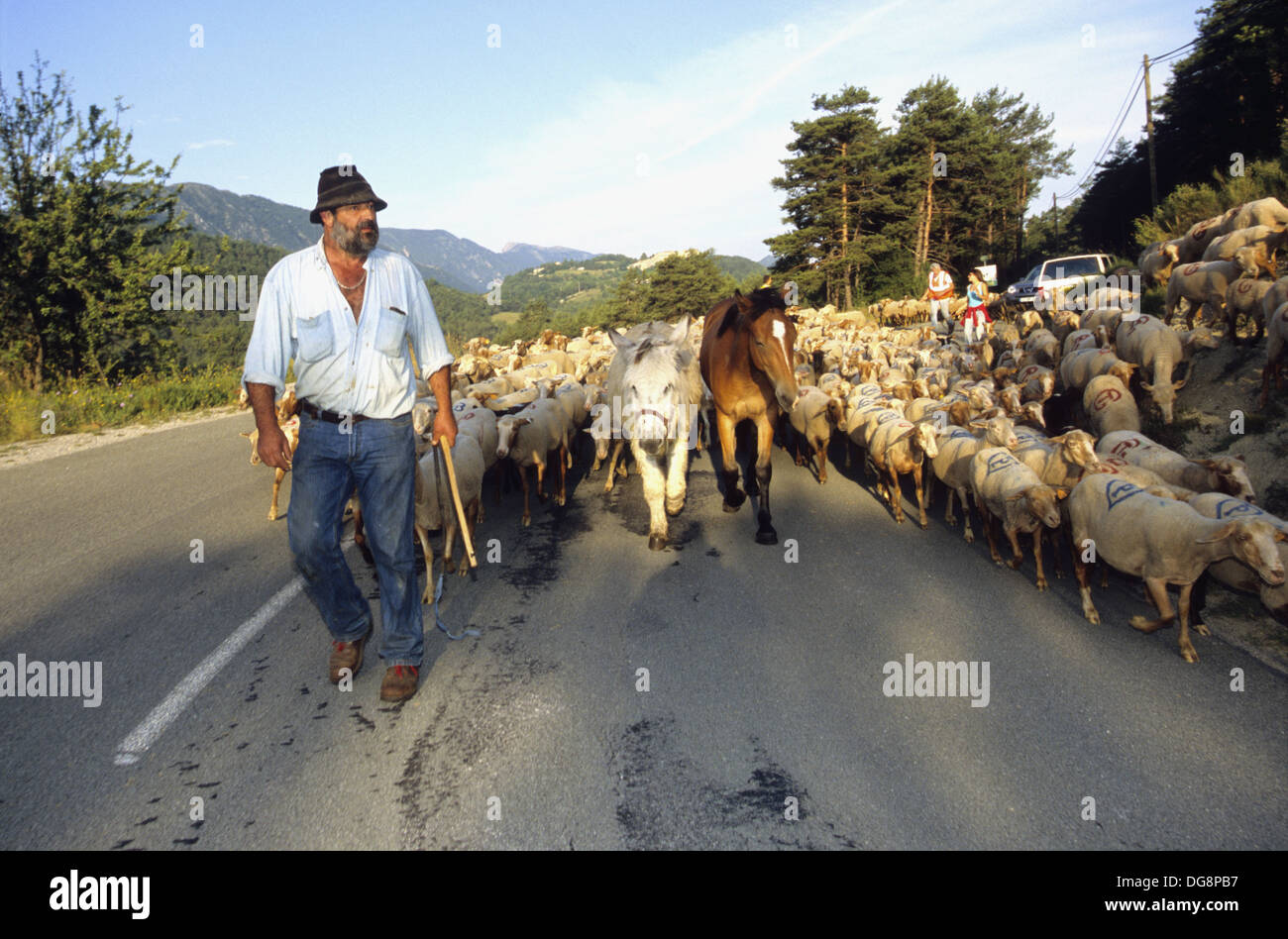 Annual transhumance hi-res stock photography and images - Alamy