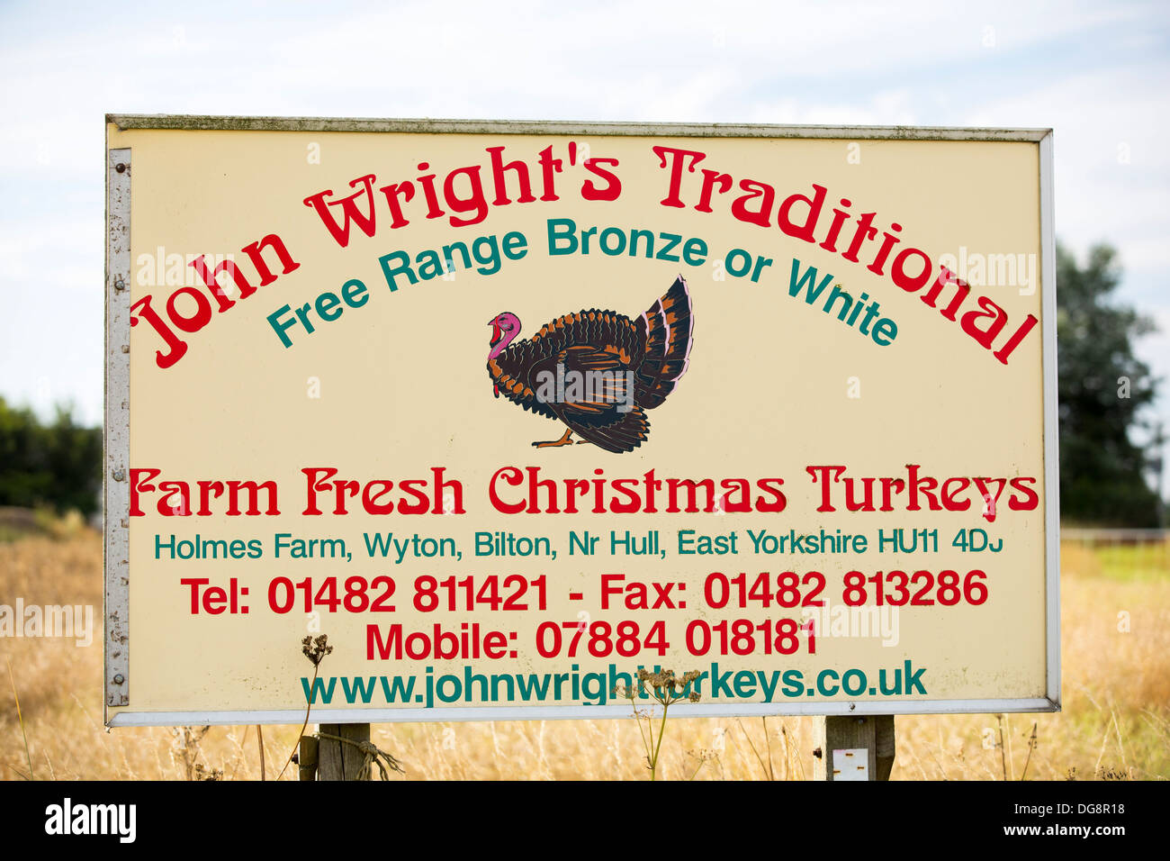 Turkey farm hi-res stock photography and images - Alamy