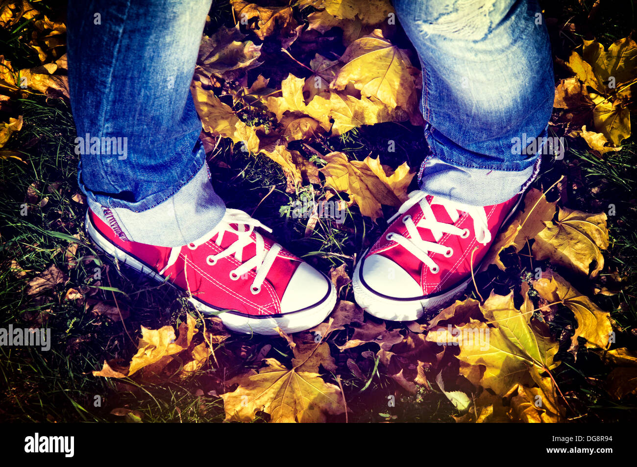 Red female snickers and yellow leafs on the ground Stock Photo - Alamy