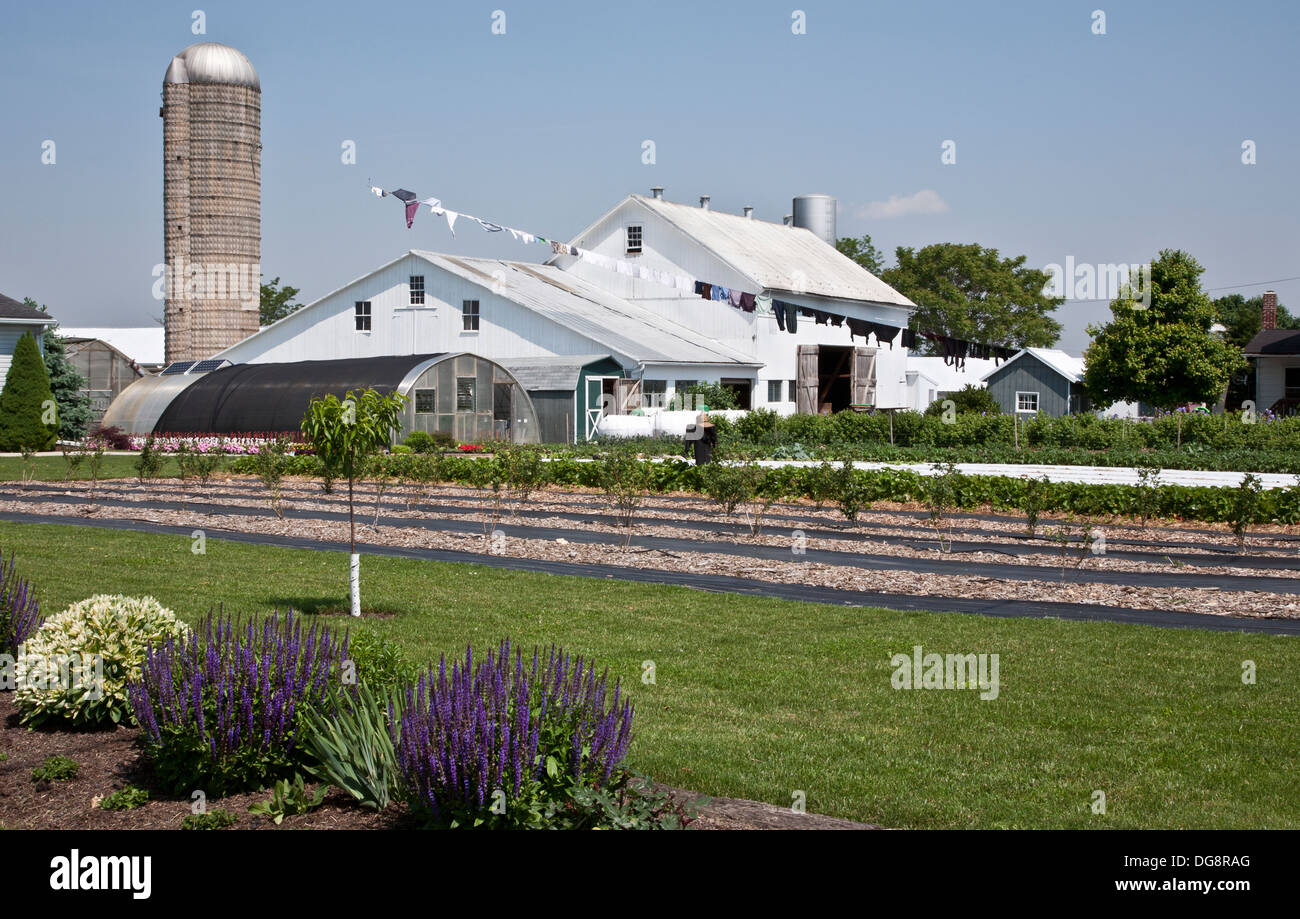 Amish farms in rural pennsylvania hi-res stock photography and images ...