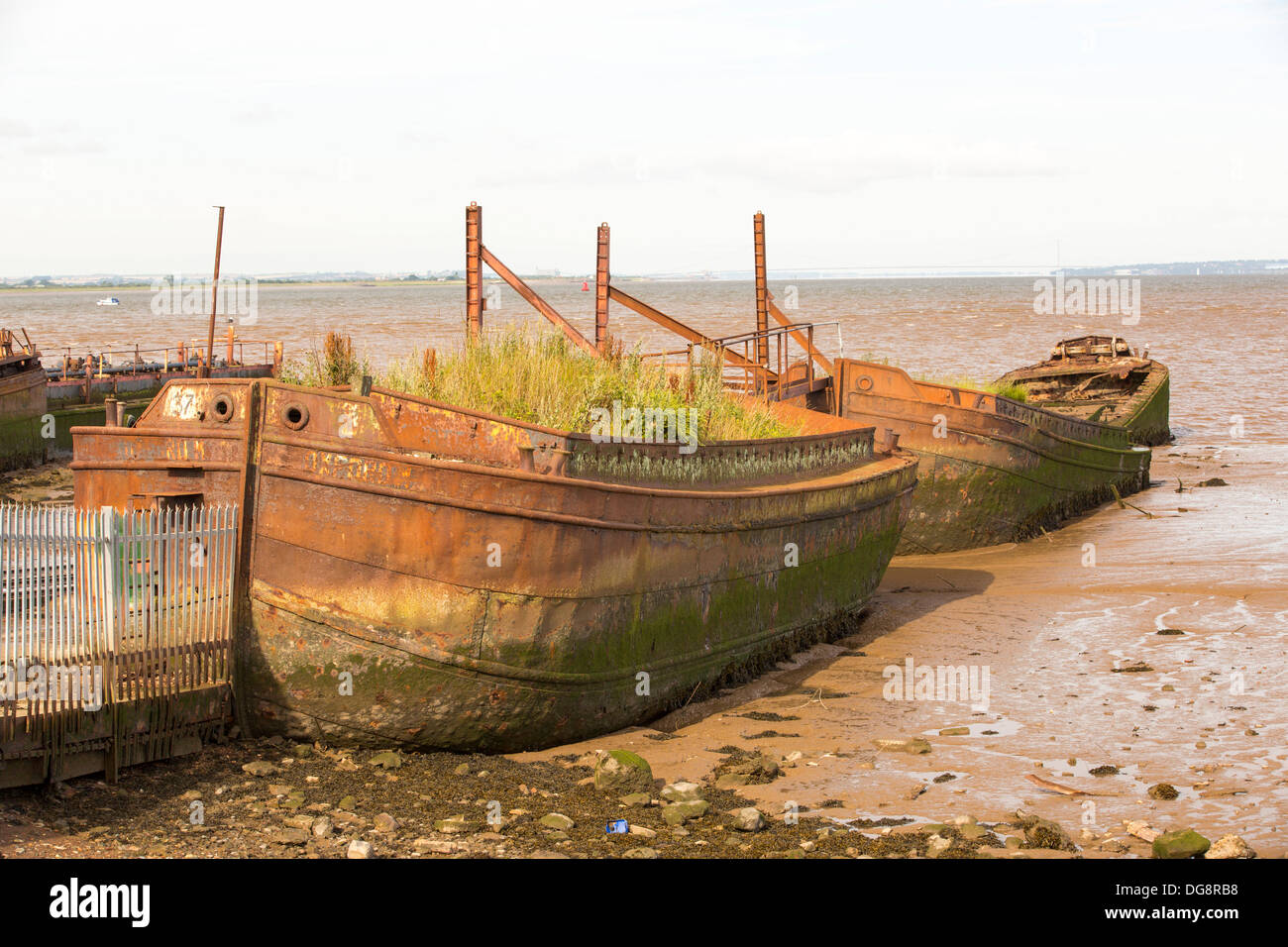 Old ship hulls being used to provide shelter to a ship yard at Salt End ...