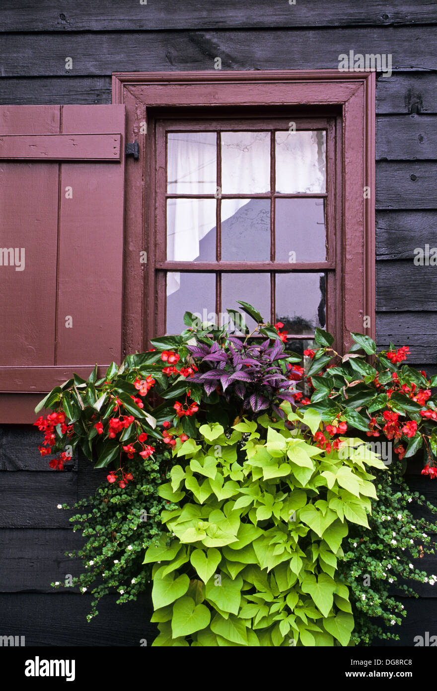 Close up vertical vintage cabin window sill outside with old wooden ...