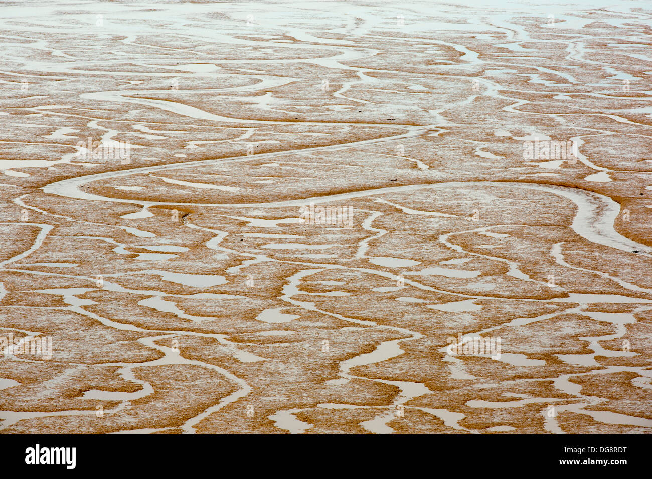 Mud pattern hi-res stock photography and images - Alamy