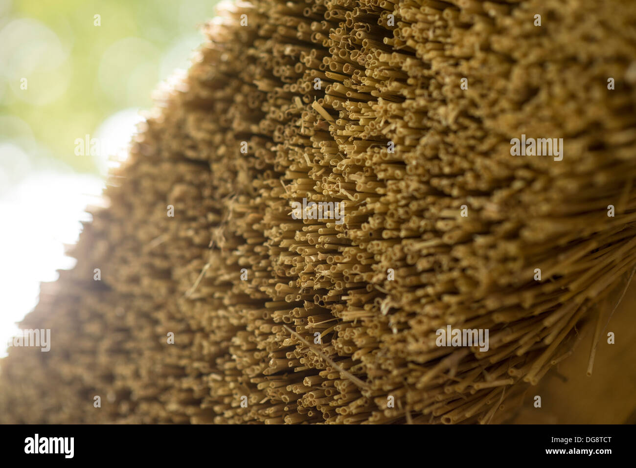 New traditional thatched roof Stock Photo - Alamy