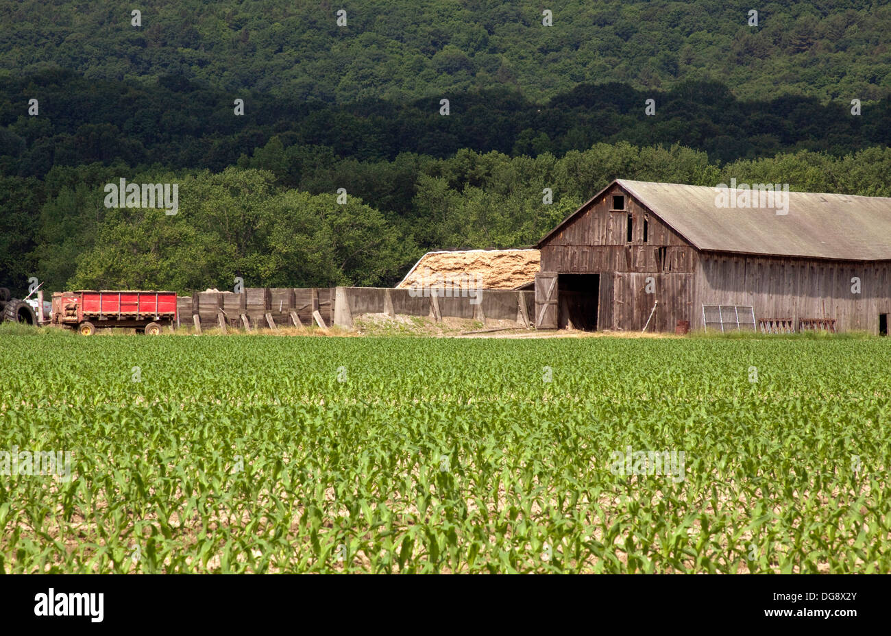 Corn field barn hi-res stock photography and images - Alamy