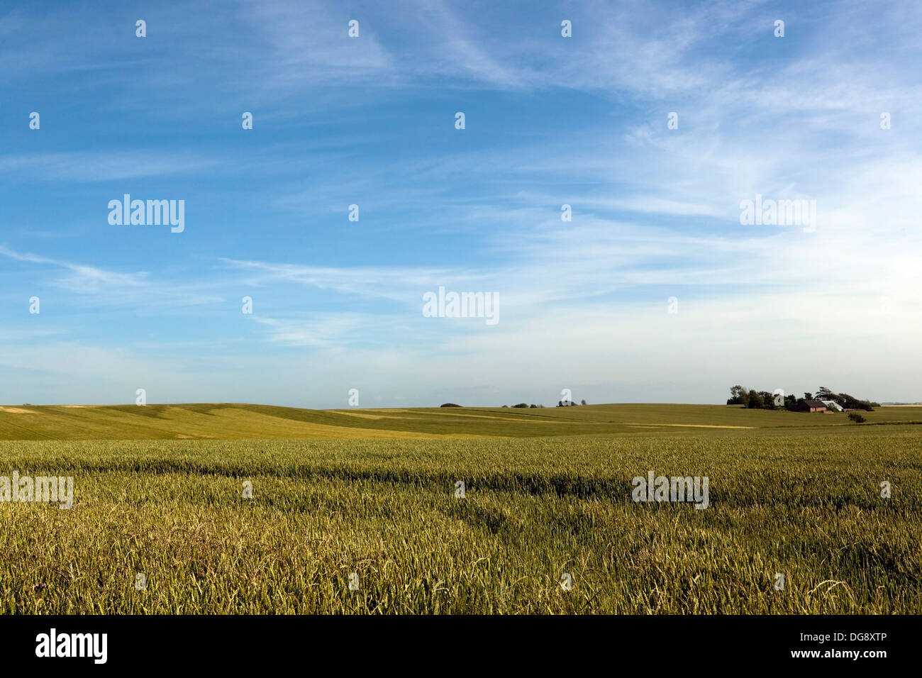 Danish farming hi-res stock photography and images - Alamy