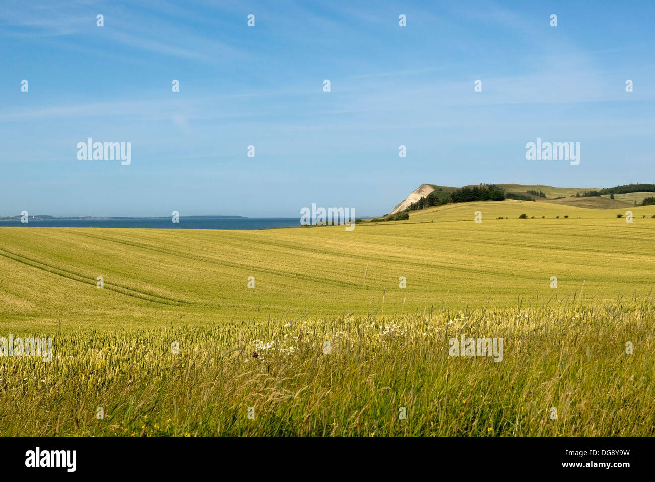 Danish farming hi-res stock photography and images - Alamy