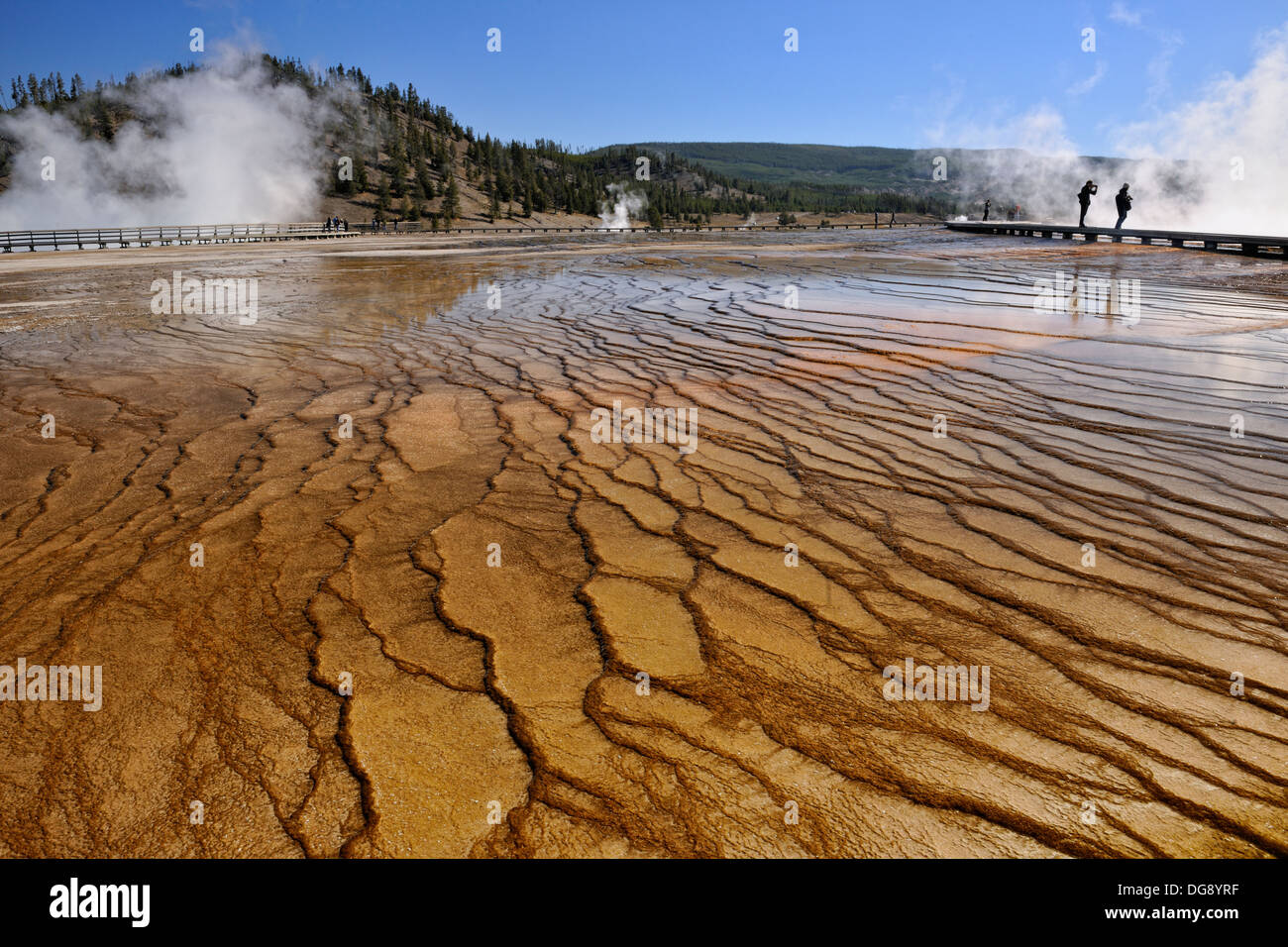 Thermophyllic algae colonies near Grand Prismatic Spring in the Midway ...