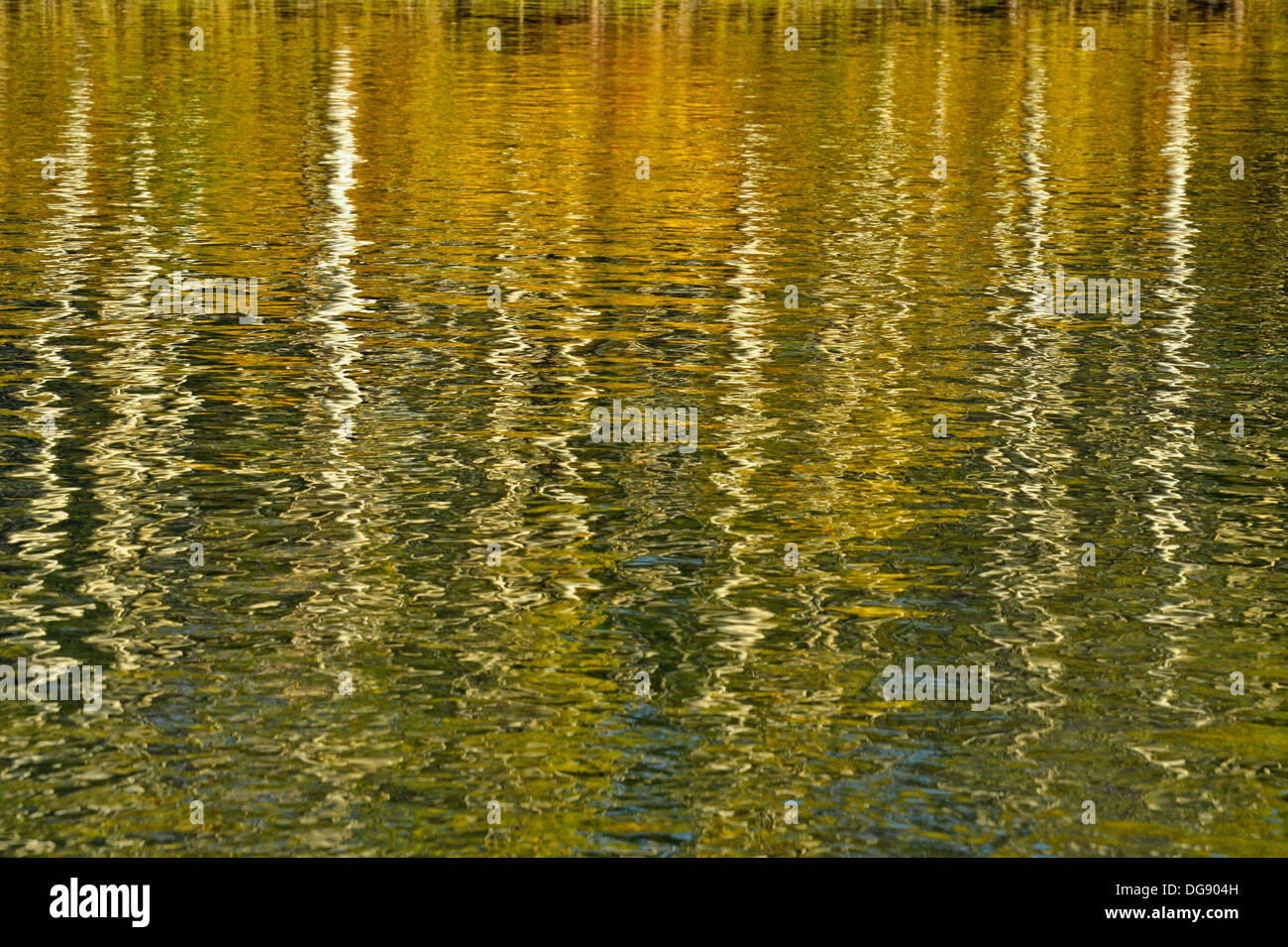 Reflections in the Chilko River in early autumn Chilcotin Wilderness BC ...