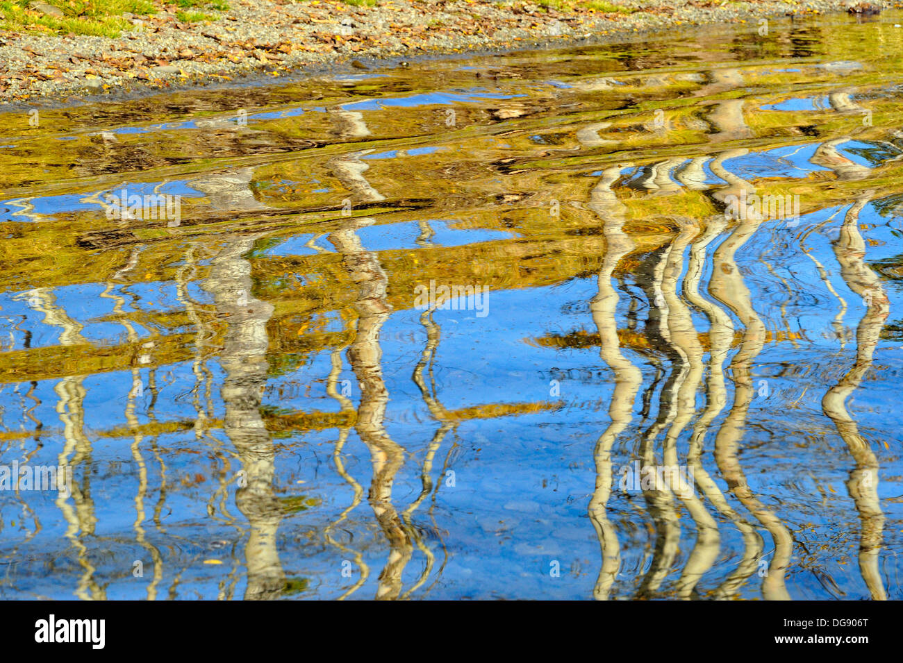 Reflections in the Chilko River in early autumn Chilcotin Wilderness BC ...