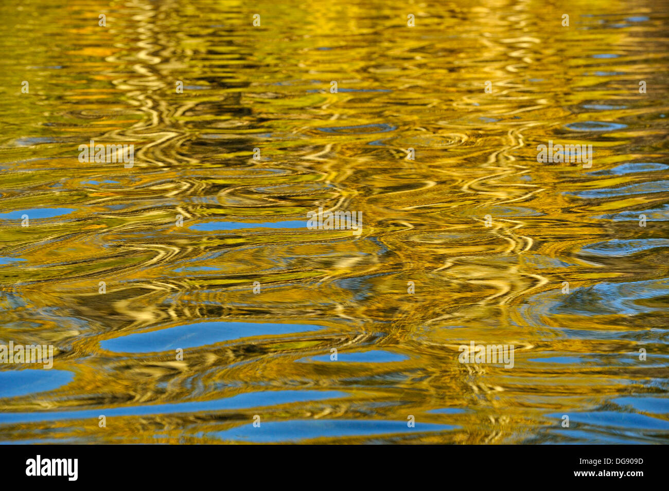 Reflections in the Chilko River in early autumn Chilcotin Wilderness BC ...