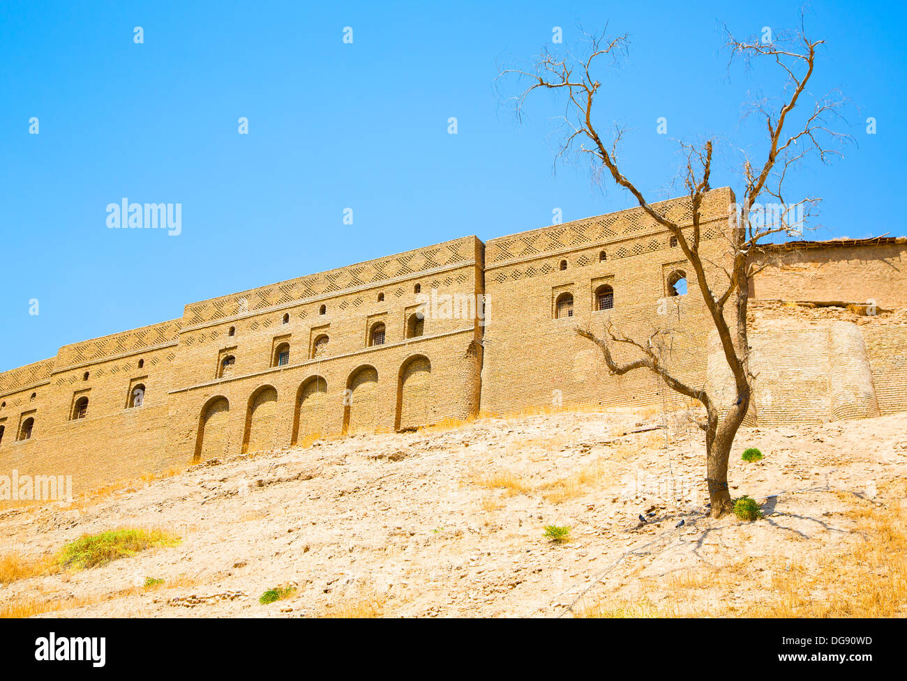 Outer wall of the Erbil citadel, Kurdistan, Iraq with a bare tree ...