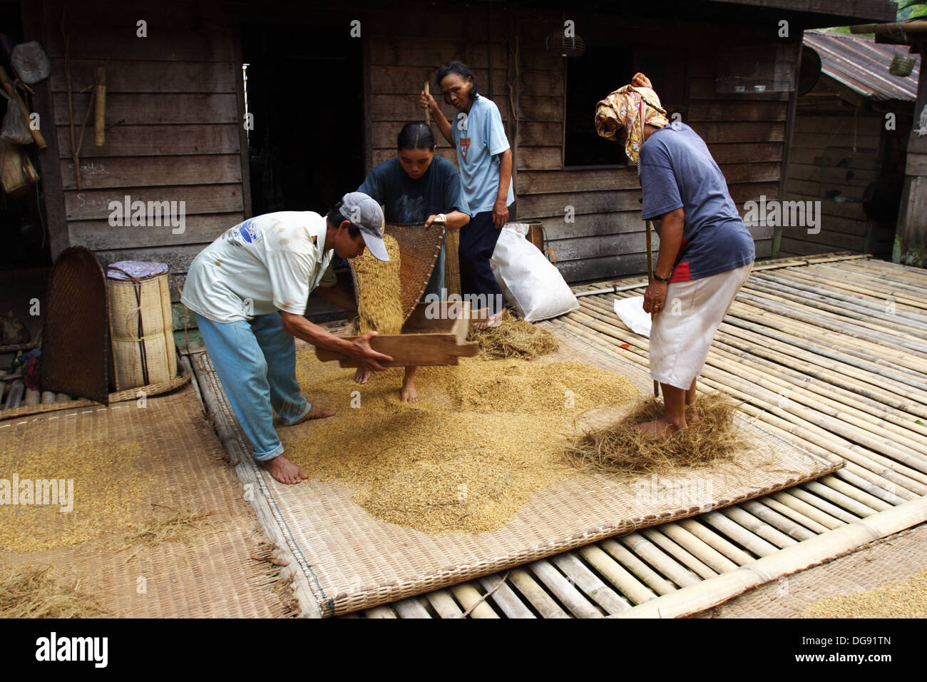 Combine harvester working a rice field hi-res stock photography and ...