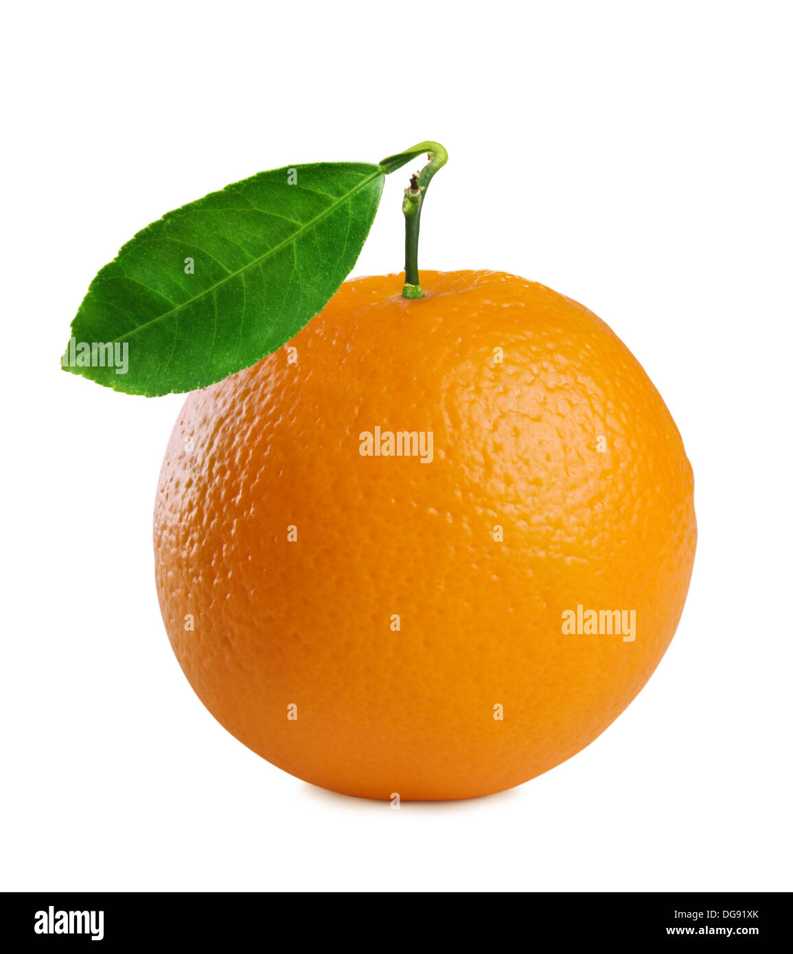 Image fresh orange leaf hi-res stock photography and images - Alamy