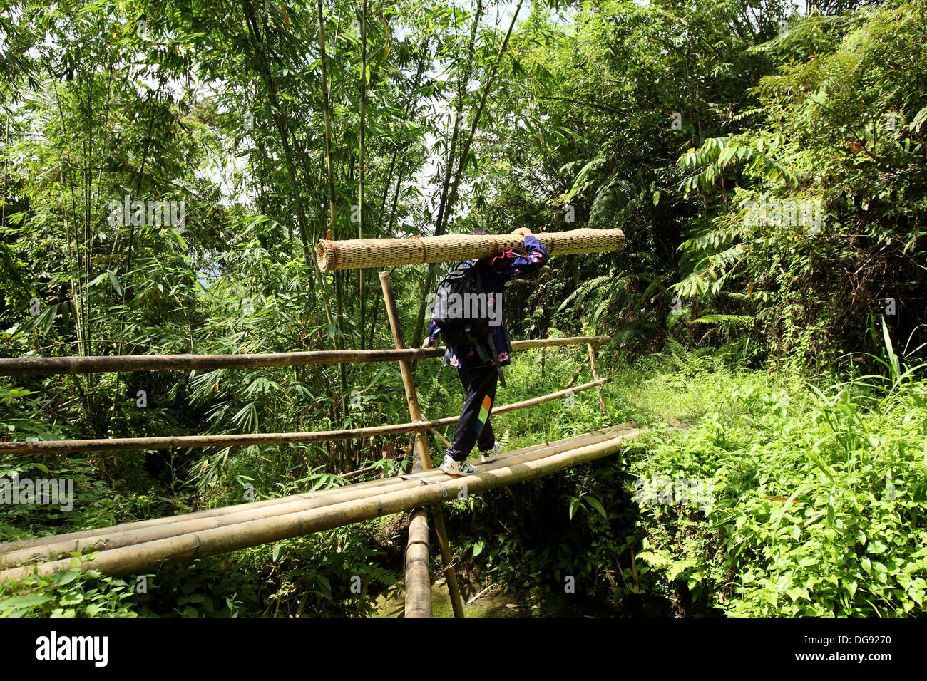 Person walking through suspension bridge hi-res stock photography and ...