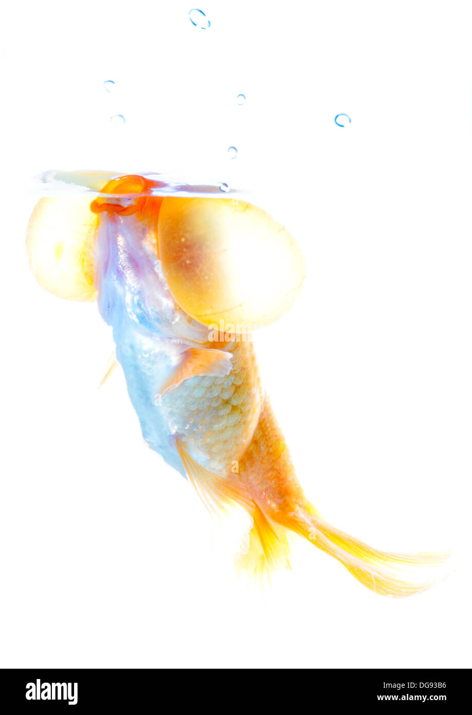 Closeup creative color background Cut Out Stock Images & Pictures - Alamy