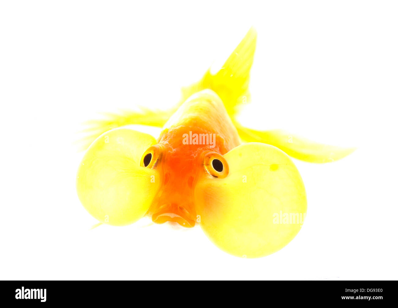 eye bubble on white background Stock Photo - Alamy
