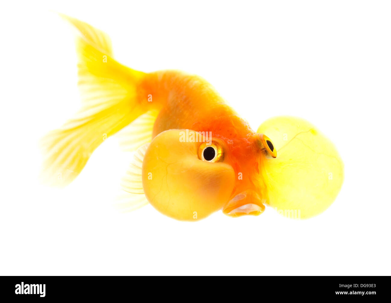eye bubble on white background Stock Photo - Alamy