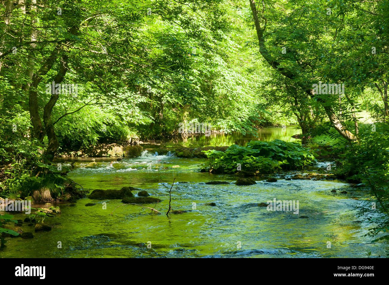 Dovedale gorge, peak district hi-res stock photography and images - Alamy