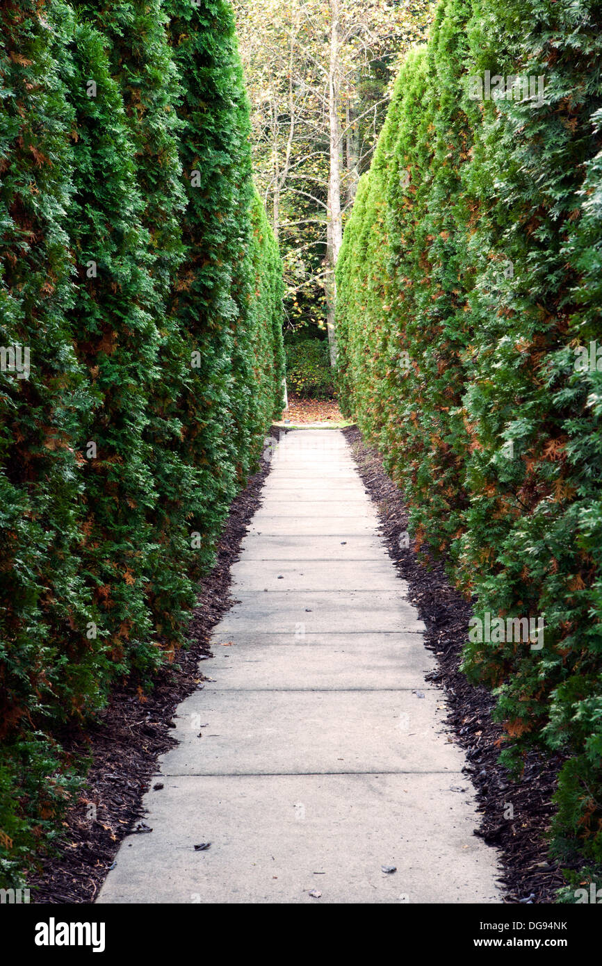 Pathway path sidewalk hi-res stock photography and images - Alamy