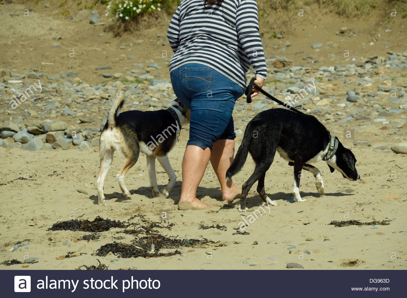 Fat Person Walking High Resolution Stock Photography and Images - Alamy