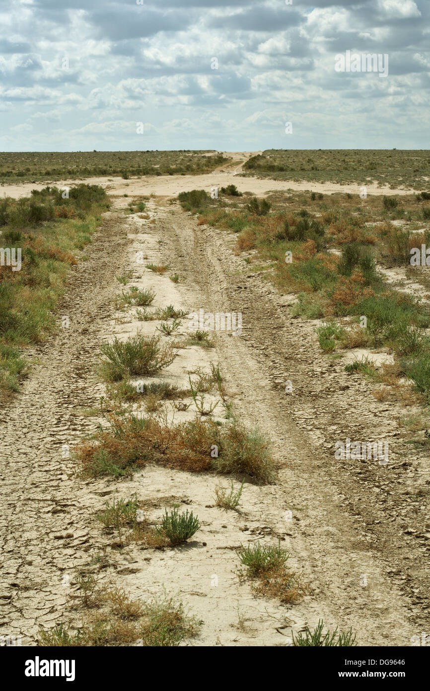 Off Road Terrain Backgrounds