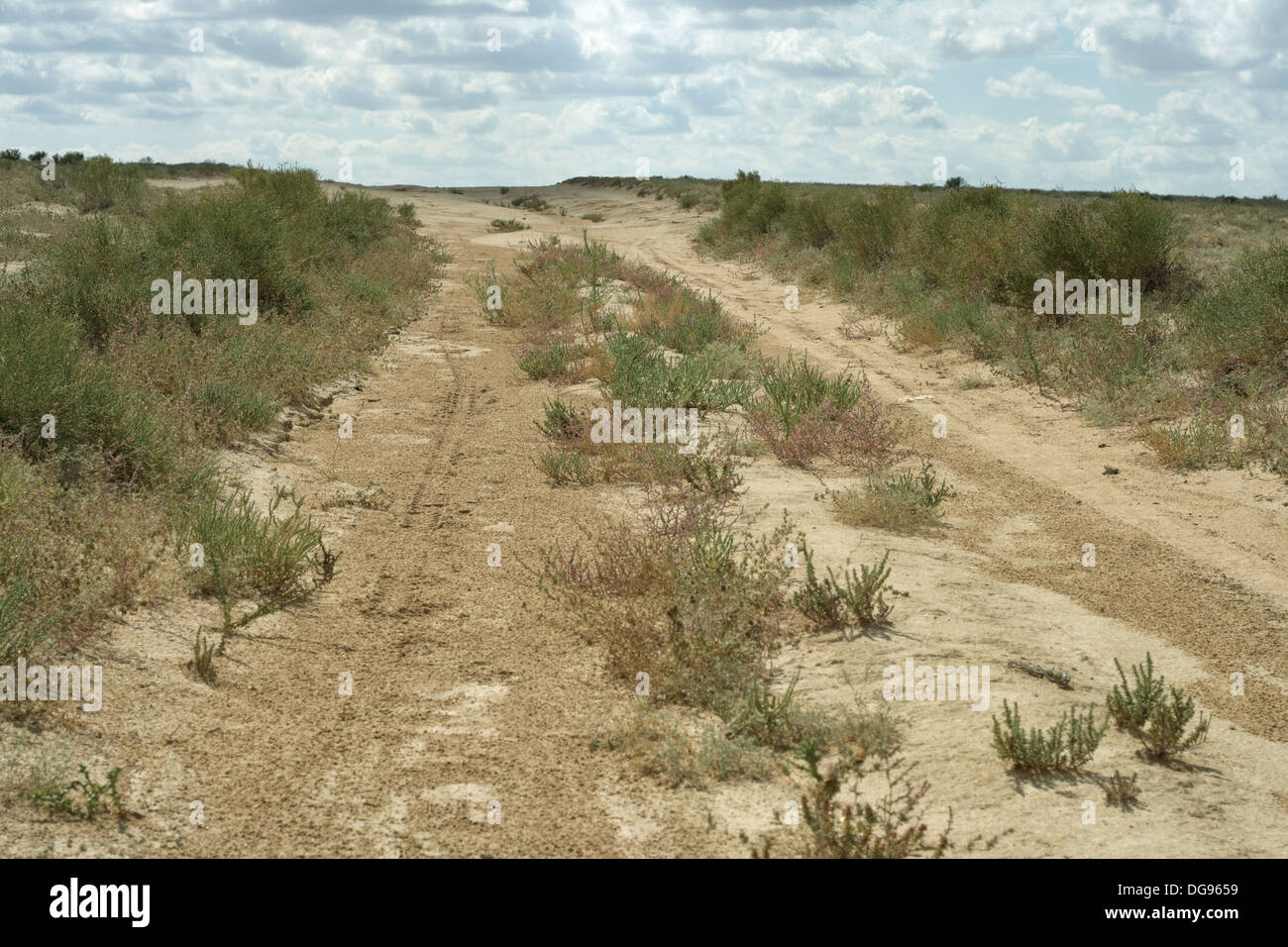 road, adventure, background, cloud, sky, desert, direction, dried ...