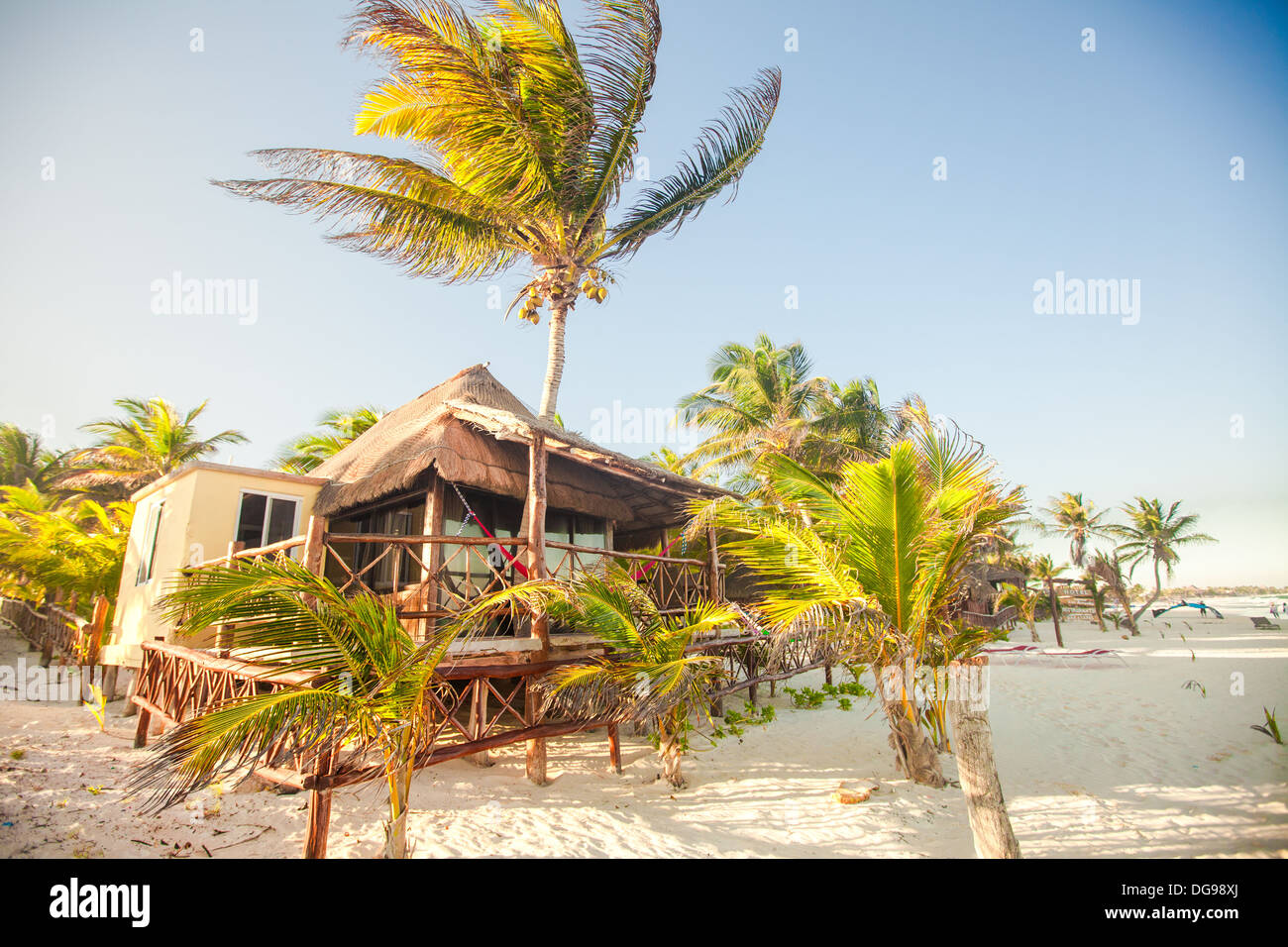 Tropical beach bungalow on ocean shore among palm trees Stock Photo - Alamy