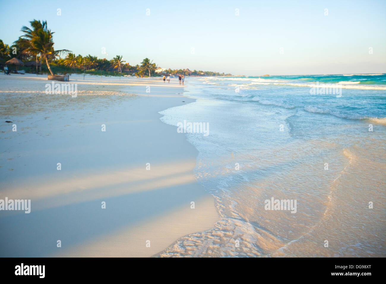 Lovely clean landscape on a paradise carribean beach in Mexico Stock ...