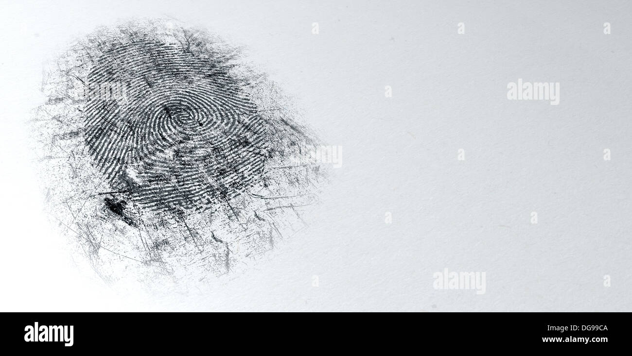 An extreme closeup of a fingerprint thats been dusted with black powder for evidence at a crime ...