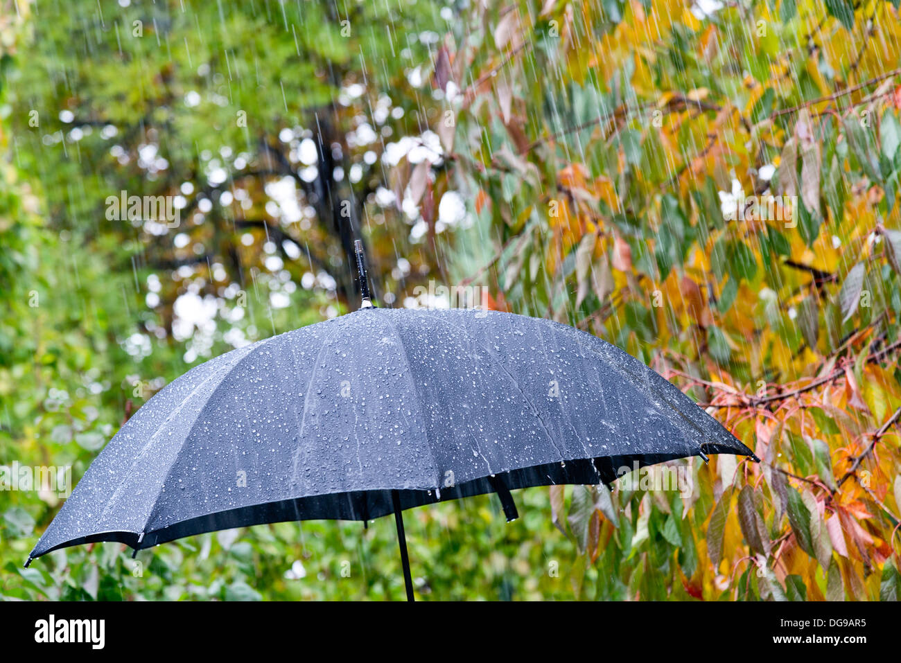 a detail of black umbrella in the rain Stock Photo - Alamy