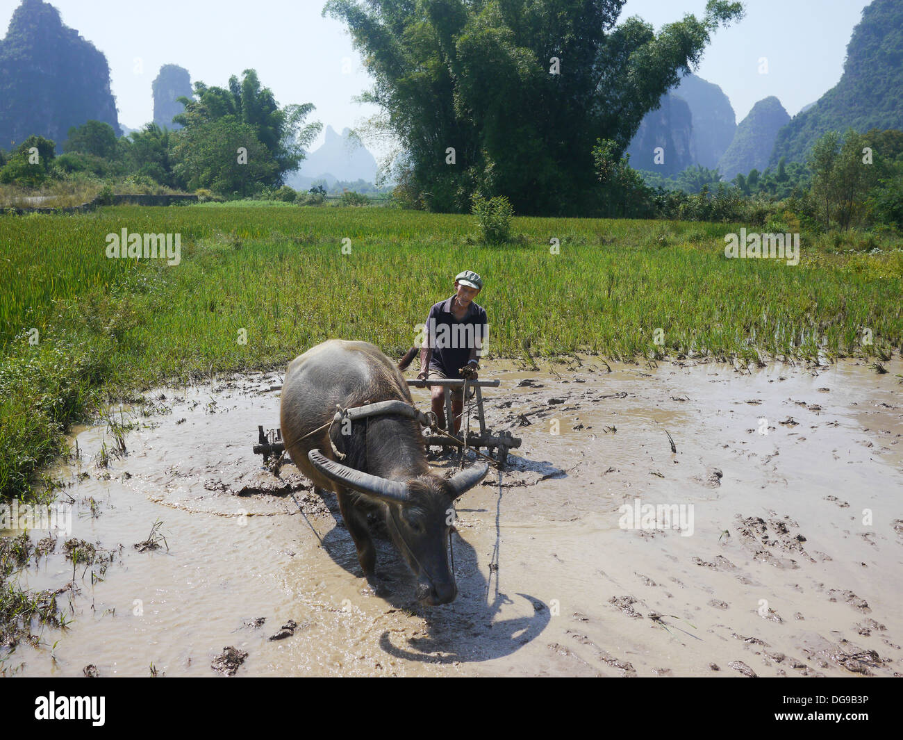 China agriculture hi-res stock photography and images - Alamy